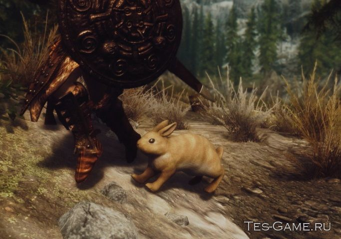 Скачать Elder Scrolls 5: Skyrim "Кролики Скайрима - Легендарное издание ...