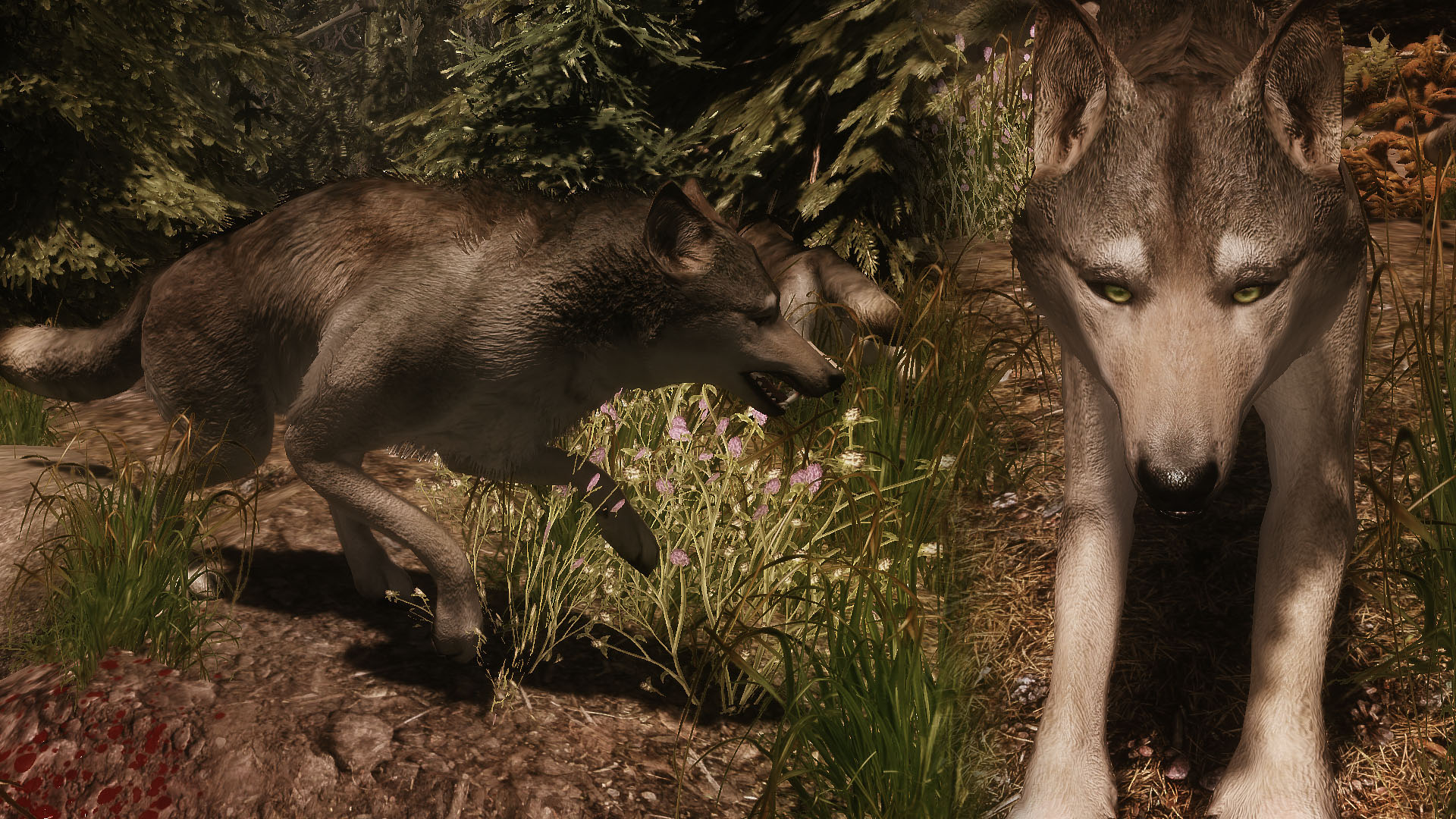 Скачать TES 5: Skyrim "True Wolves Of Skyrim-Правильные волки ...