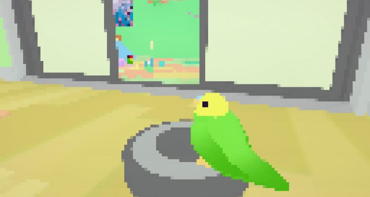 Toripon - когда птиц столько, что не перефотографировать