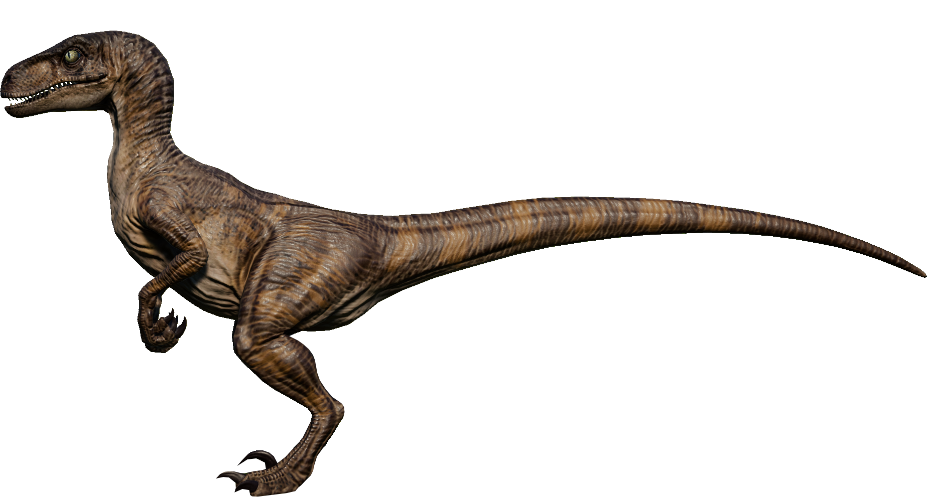 Скачать People Plauground "Wooden Raptors-высококачественные макеты ...