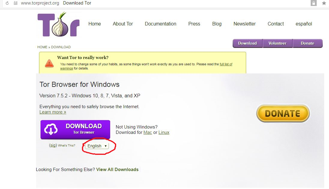 torbrowser - Форум Playground.ru
